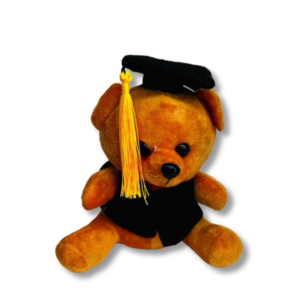 Peluche Osito Graduado Precio - Rappi