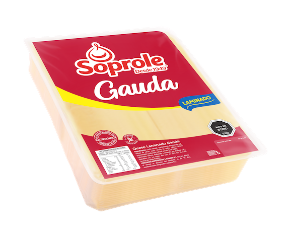 Queso Gauda Soprole 500g - Rappi