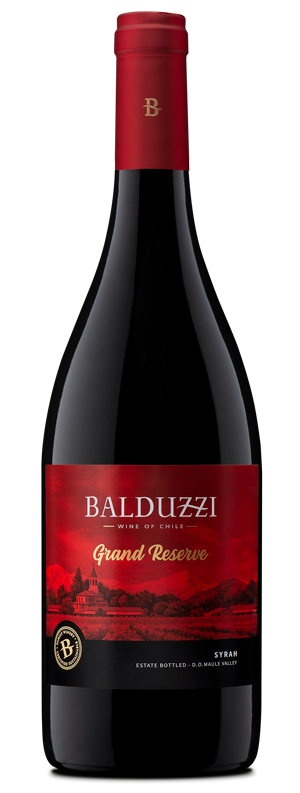Balduzzi Grand Reserva Syrah Gran Reserva 750cc - Rappi
