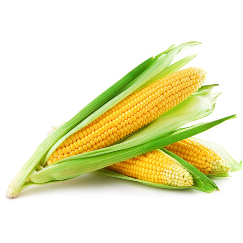 Choclo Humero (unidad) - Rappi