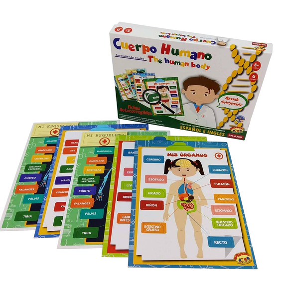 Toyng Juego Familiar Cuerpo Humano - Rappi