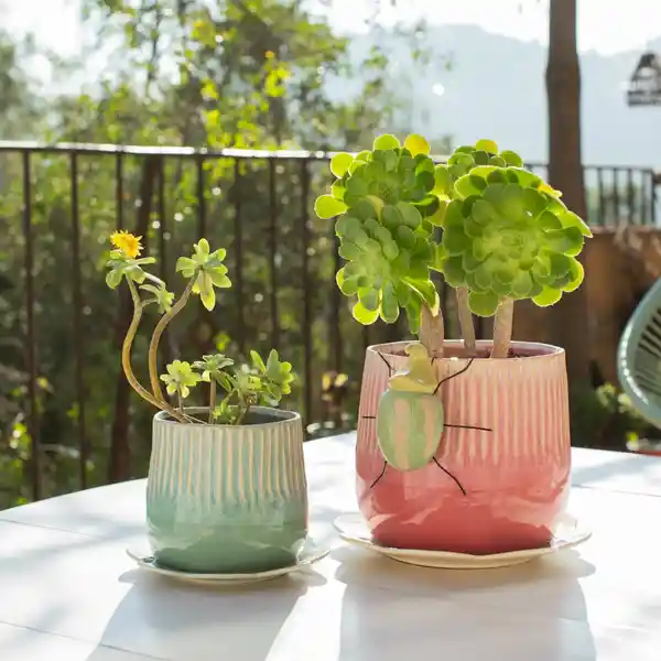 Adorno de Cerámica y Metal Con Forma de Insecto Casaideas - Rappi