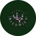 Fuente Rica Rica - Comida Vegana - Patronato Precios y Menú a Domicilio ...